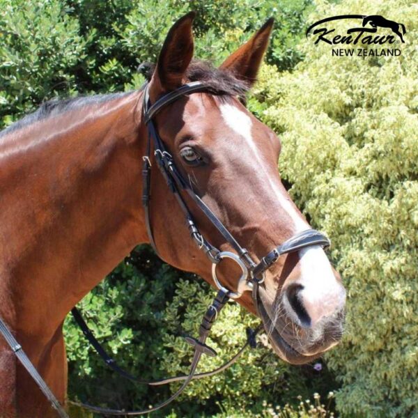 Kentaur 'Clarksville' Bridle - Kentaur New Zealand