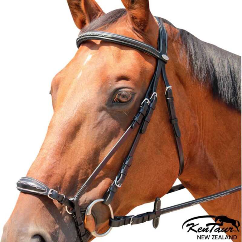 Kentaur 'Clarksville' Bridle - Kentaur New Zealand
